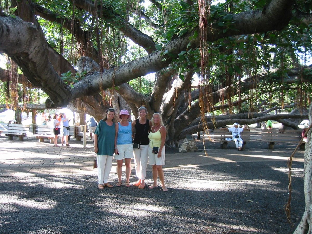 LAHAINA BANYAN TREE AND FRONT STREET - Carolina Hehenkamp